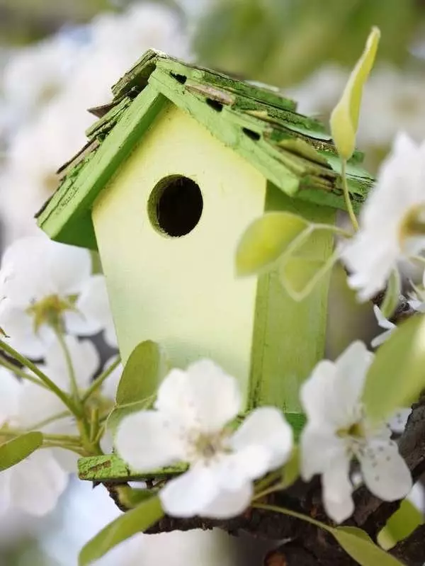 Φτιάξτε ένα Birdhouse