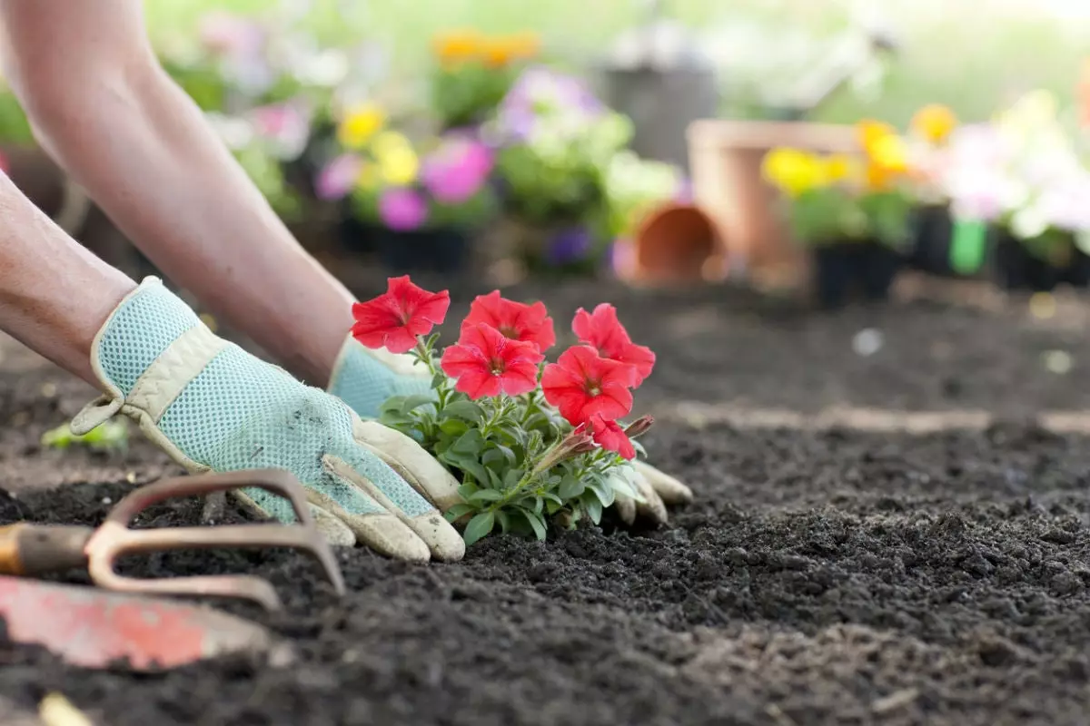 Els millors guants de jardineria, segons Happy Gardeners