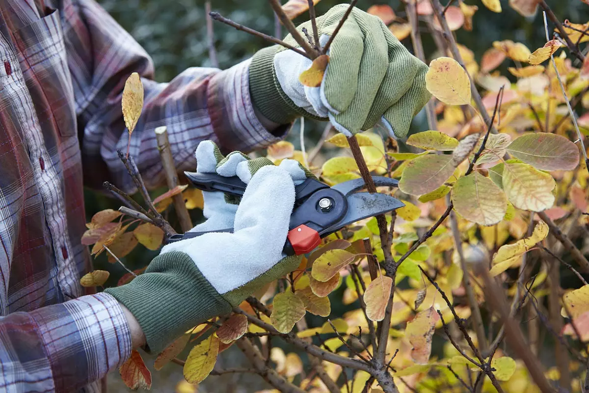 De bästa trädgårdshandskarna, enligt Happy Gardeners