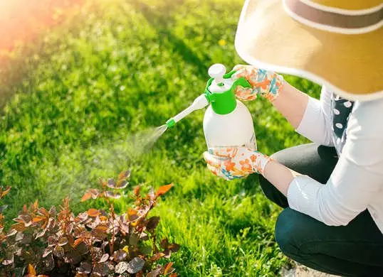 Pesticidas Gerais para Uso Residencial - Desvantagens