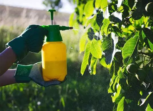 Utilitzar protecció quan es treballa amb pesticides