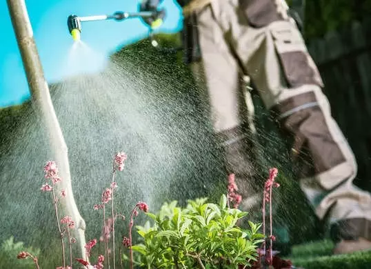 Custos de pesticidas em casa