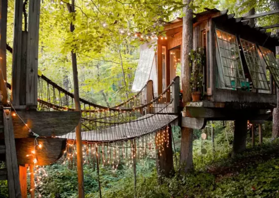 Airbnb上的树屋旅馆