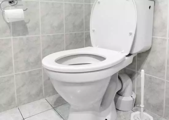Yuav tiv thaiv Rusted Toilet Seat Screws li cas