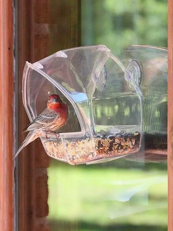 Comedero para pájaros con ventana transparente de Birdscapes