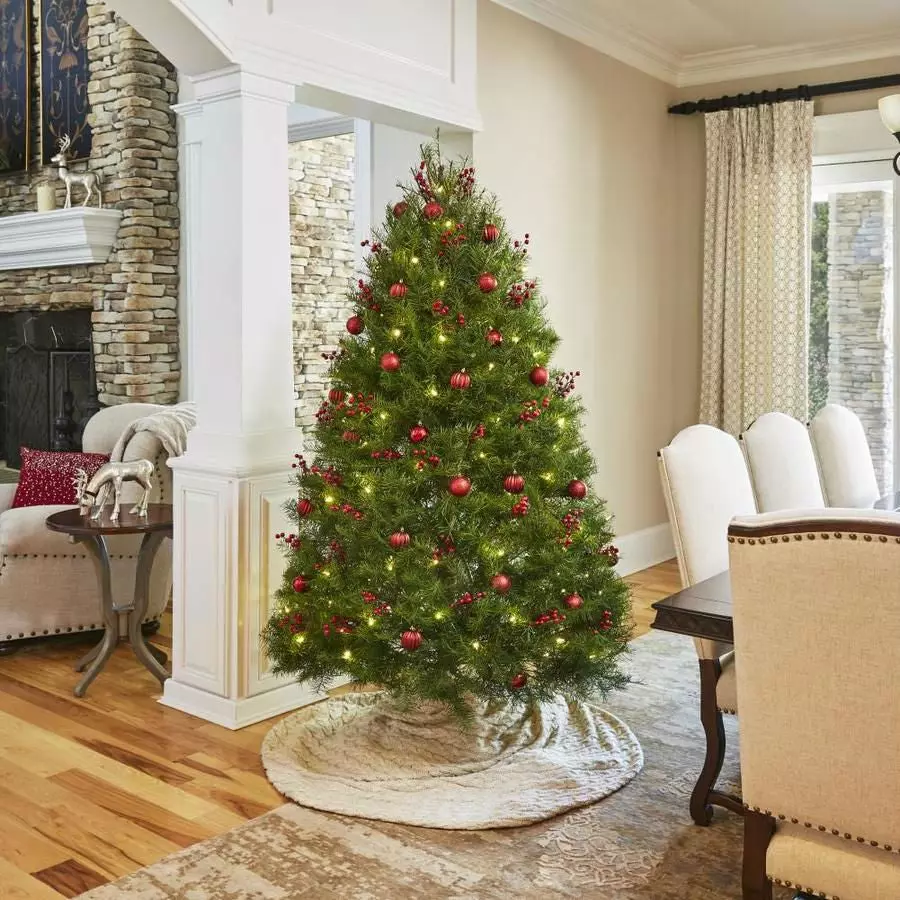 5 najlepších typov vianočných stromčekov