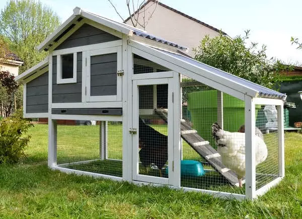 DIY Backyard Chicken Coop Idéer