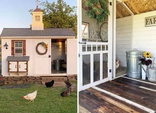 Barn Style House Chicken Coop