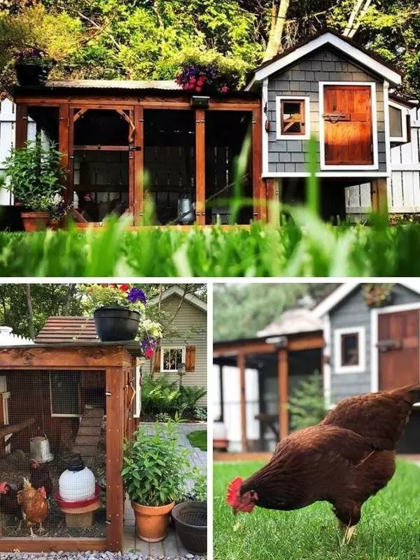 バンガロースタイルの鶏小屋