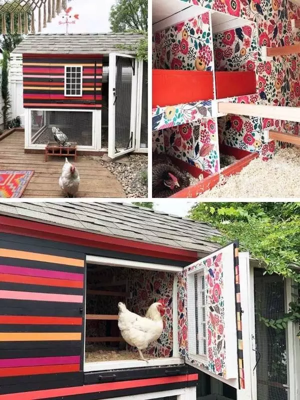 Colorful Chicken Coop