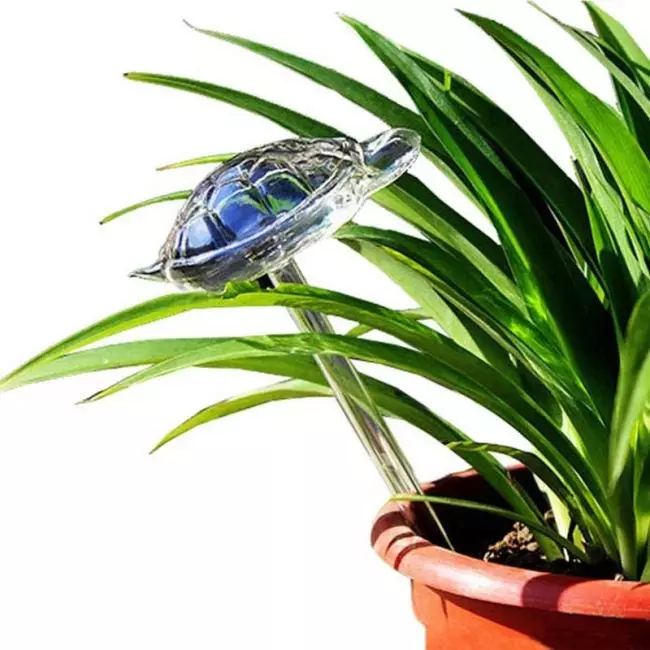 La mejor opción de riego automático de plantas: WonderKathy Glass Automatic Plant Watering Globes