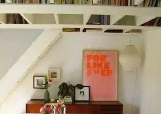 Ceiling Bookshelf