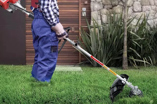 Iň oňat gaz setiri trimmer görnüşleri