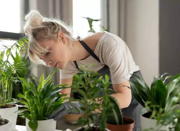 Indoor Gaardenaarbecht Produiten