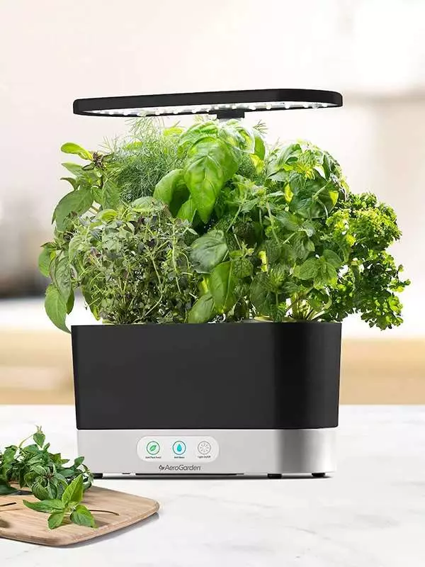 Countertop Hydroponic የአትክልት