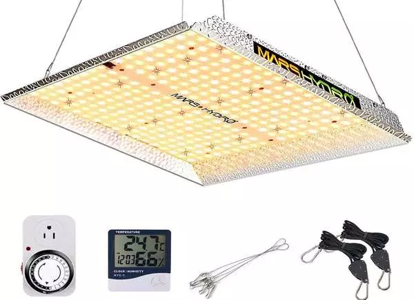 អំពូល LED លូតលាស់