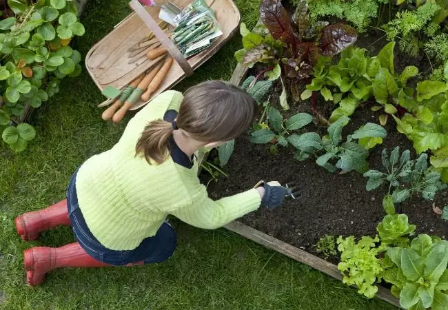 Resolvendo os maiores retos do coidado do xardín