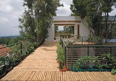 Terénne úpravy s bambusom - chodník