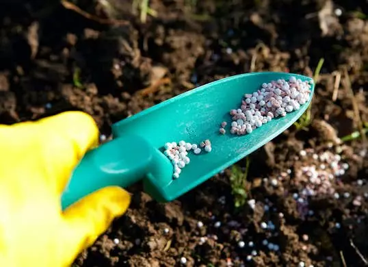 Πώς να καθαρίσετε τα εργαλεία κήπου