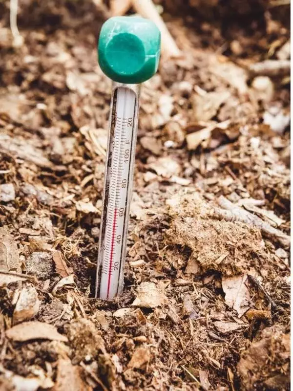 Utilitzeu el termòmetre del sòl