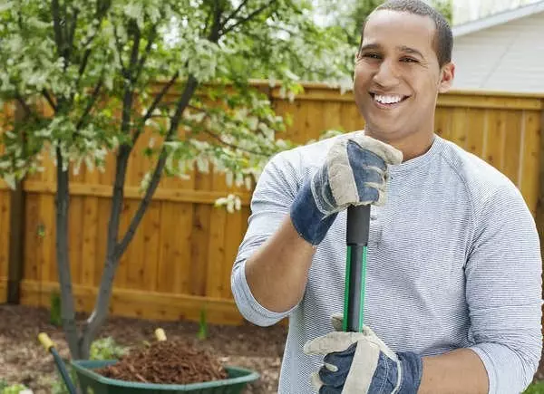 Tantangan Landscaping Sabudeureun Tatangkalan