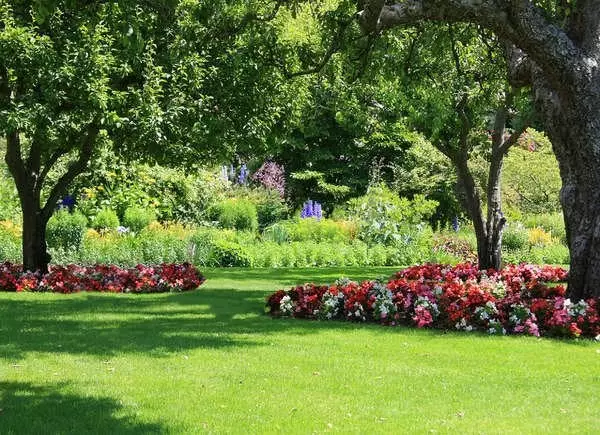 Paisagismo ao redor de árvores com canteiros de flores