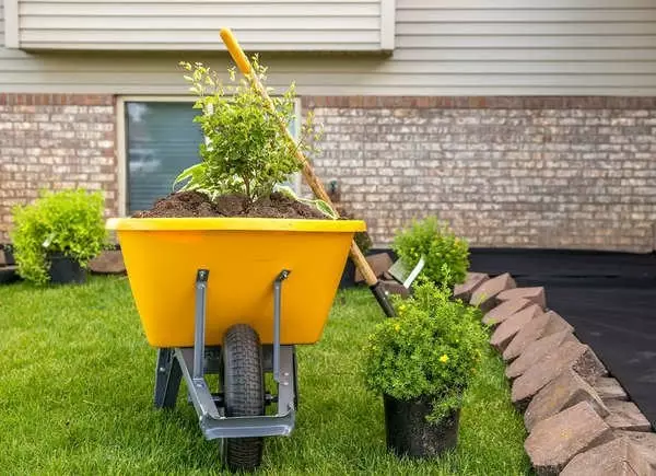 Paké Lawon Landscaping Ngan Nalika Landscaping sabudeureun Tatangkalan