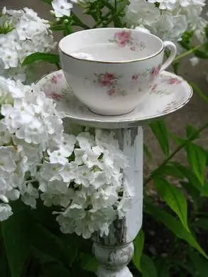 Teacup Birdbath