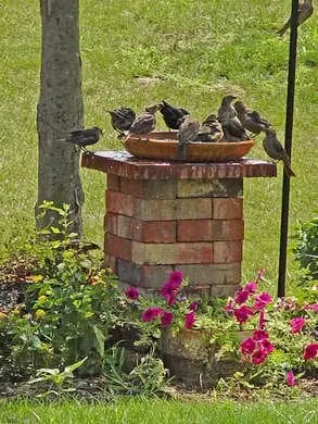 Brick Bird bath