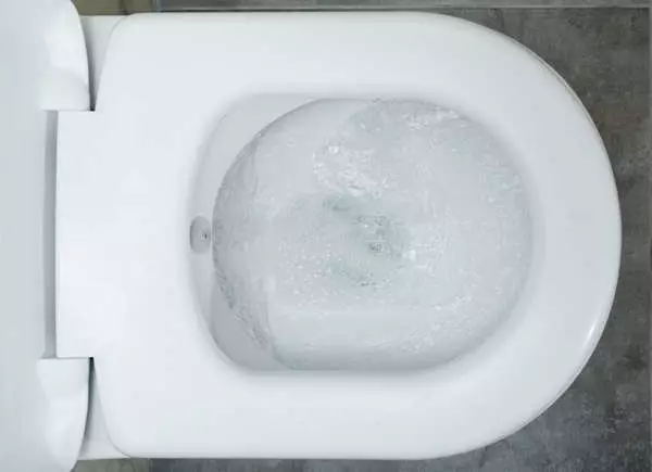 प्राकृतिक शौचालय क्लीनर
