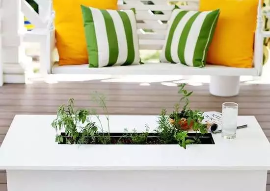 DIY Sab nraum zoov Herb Garden