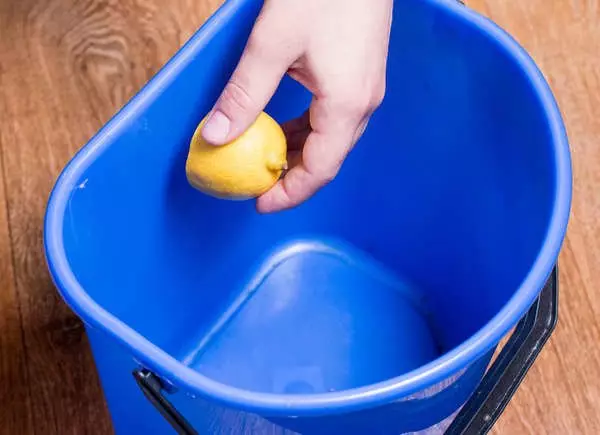 Citron för att fräscha upp papperskorgen