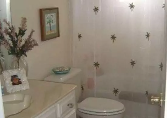 Baño de Palmeras