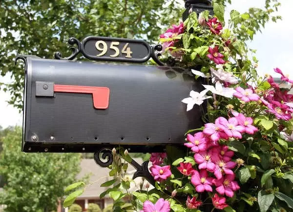 Palitan ang Mailbox
