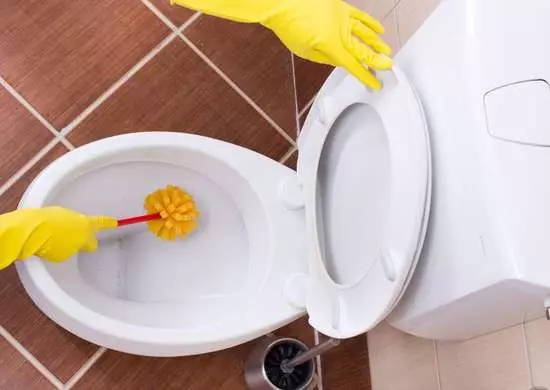 Туалетны Кул-Ярдәм белән ничек чистартырга
