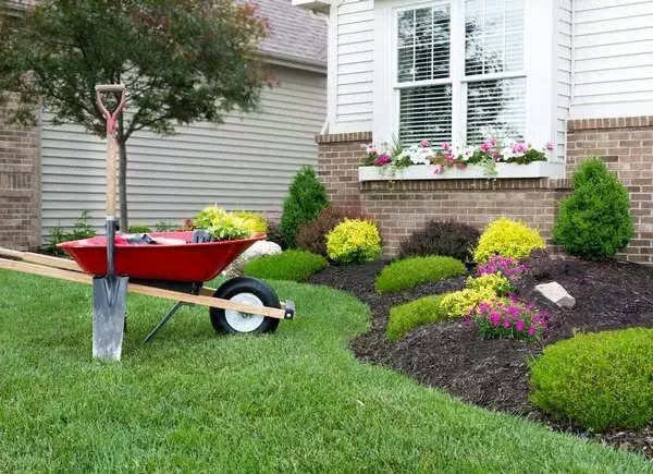 Front Yard Landscaping