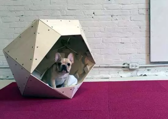 DIY Doghouse