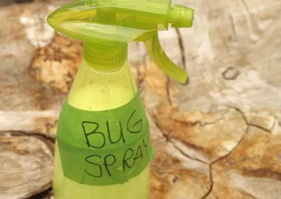 Hausgemaachte Bug Spray