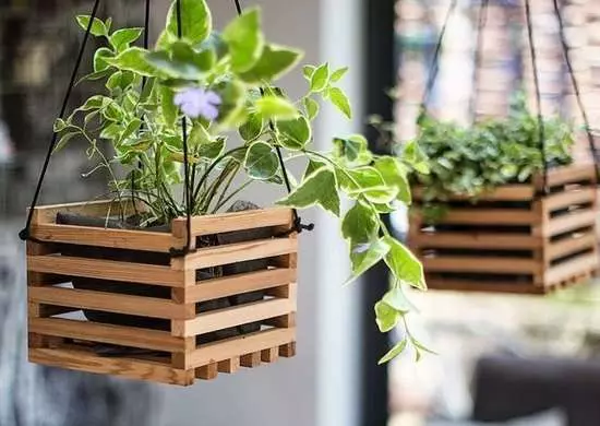 Hangende plantenmand