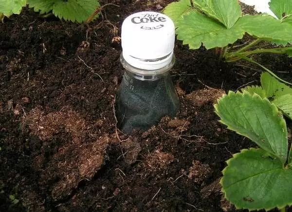 הפוך בקבוק פלסטיק כדי לחסוך במים בגינה