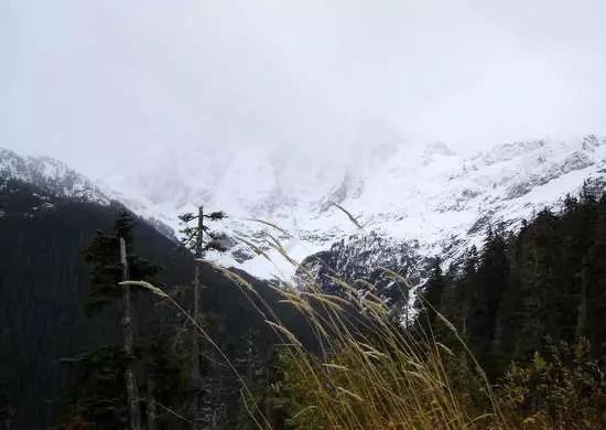 Största registrerade snöfallet under en säsong - Mt. Baker Ski Area, Washington