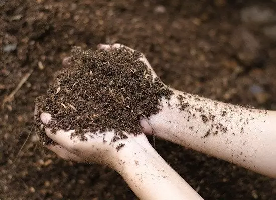 Vinterklar plenen og hagen din i 7 trinn