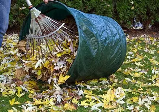 Raking Leaves