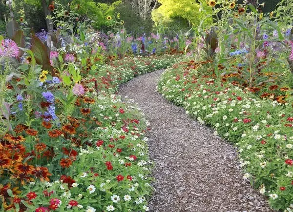 Mulch Garden Path