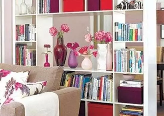 Bookcase Chav Divider