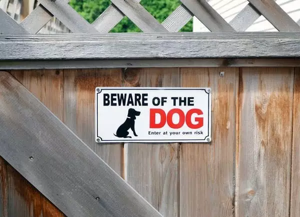 Chó có ngăn được trộm không?