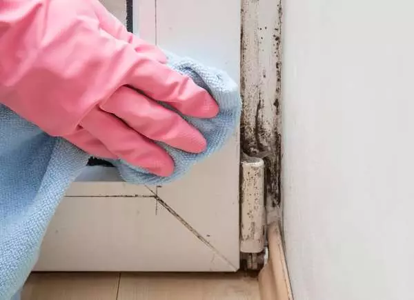 Man enguantada rosa usando unha toalla azul para limpar o mofo do fondo dunha porta