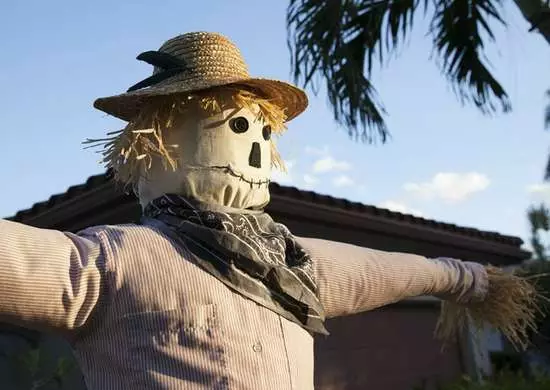 DIY Scarecrow