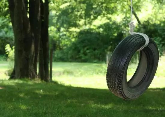 Nemus fit-Tire Swing