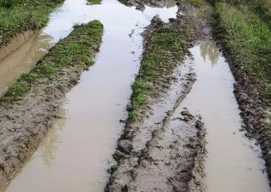 Mga lamok sa Nakatayo na Tubig